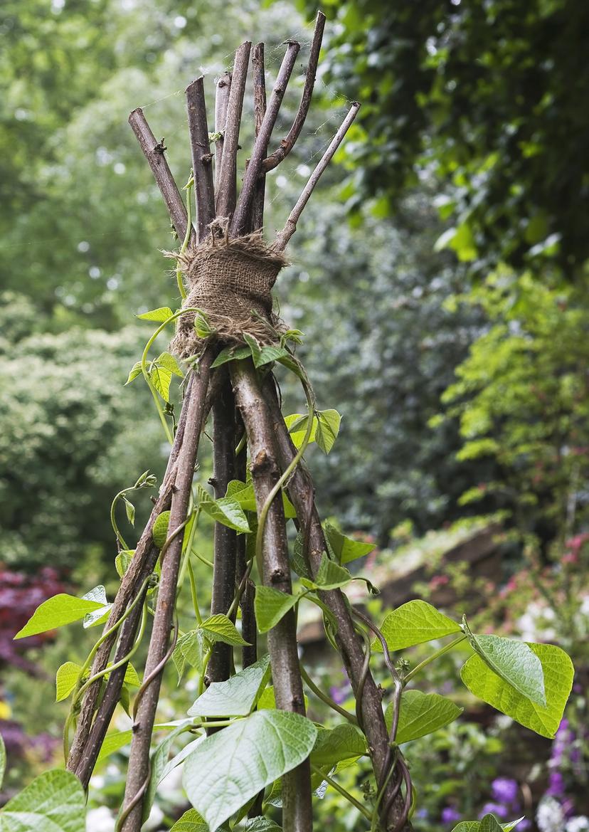 Using twigs and branches in the garden | Kotona Living