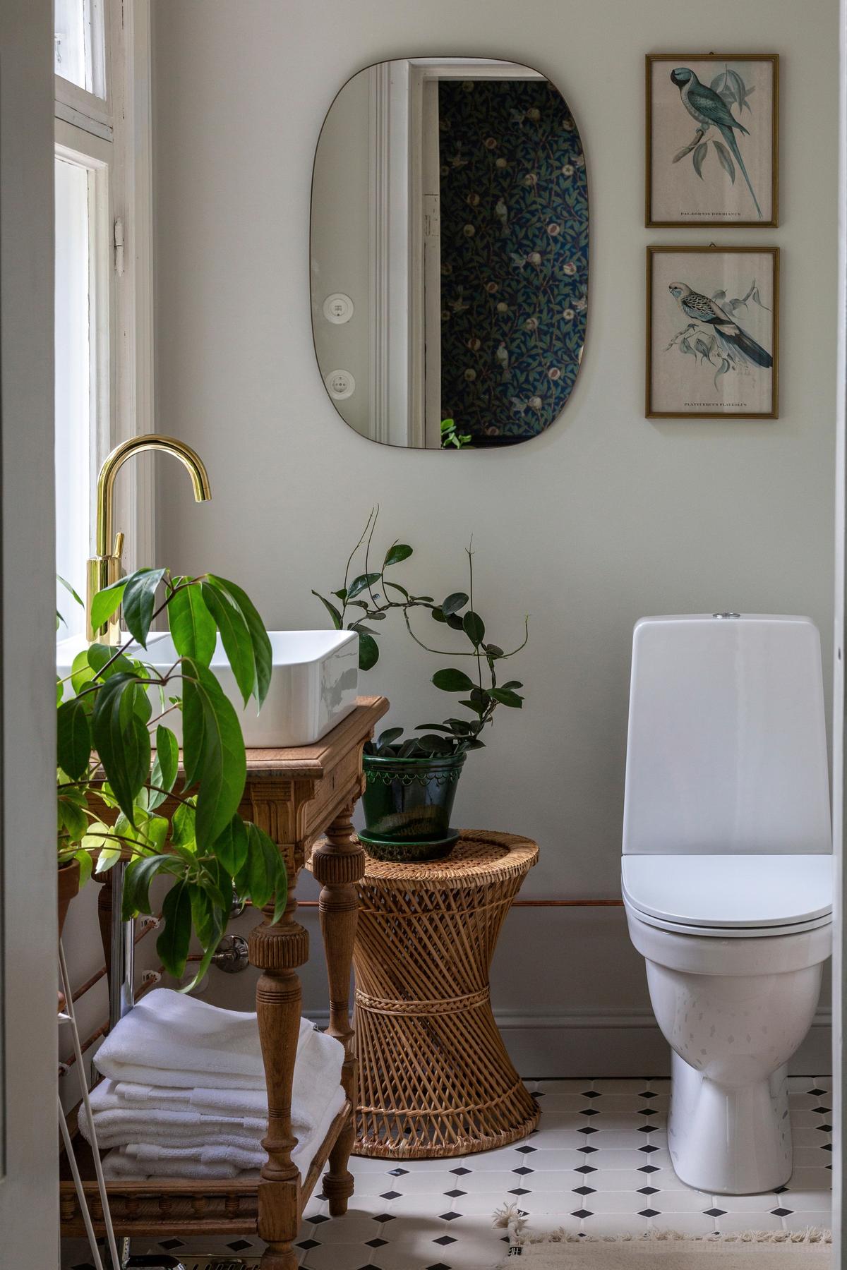 Arranging plants indoor–12 creative ideas! | Kotona Living