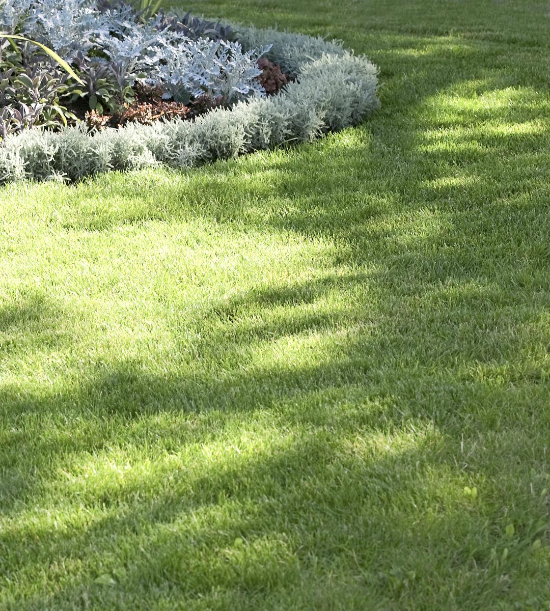 Using fireplace ash in the garden | Kotona Living