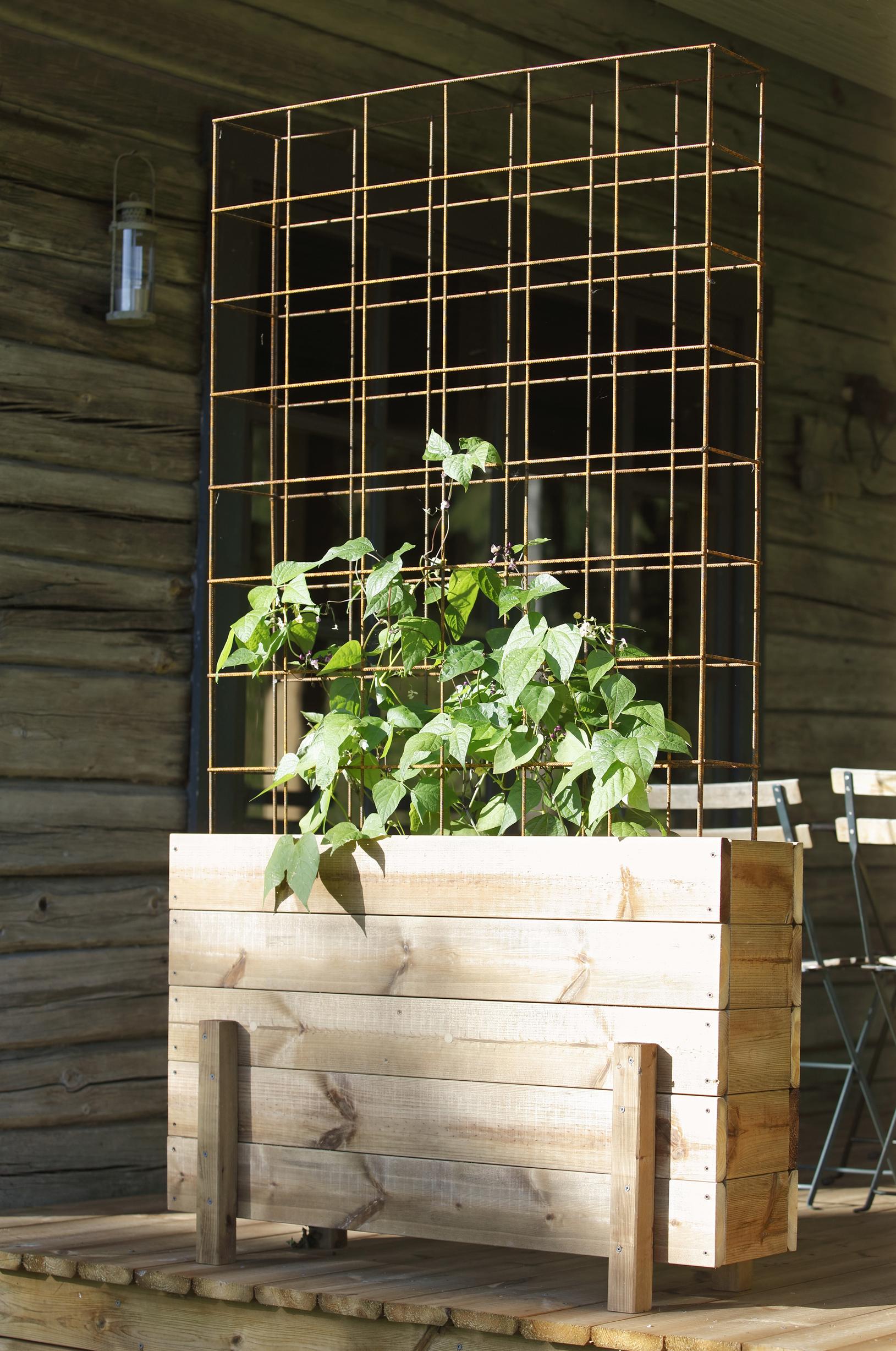 Climbing trellis box—check out the instructions! | Kotona Living