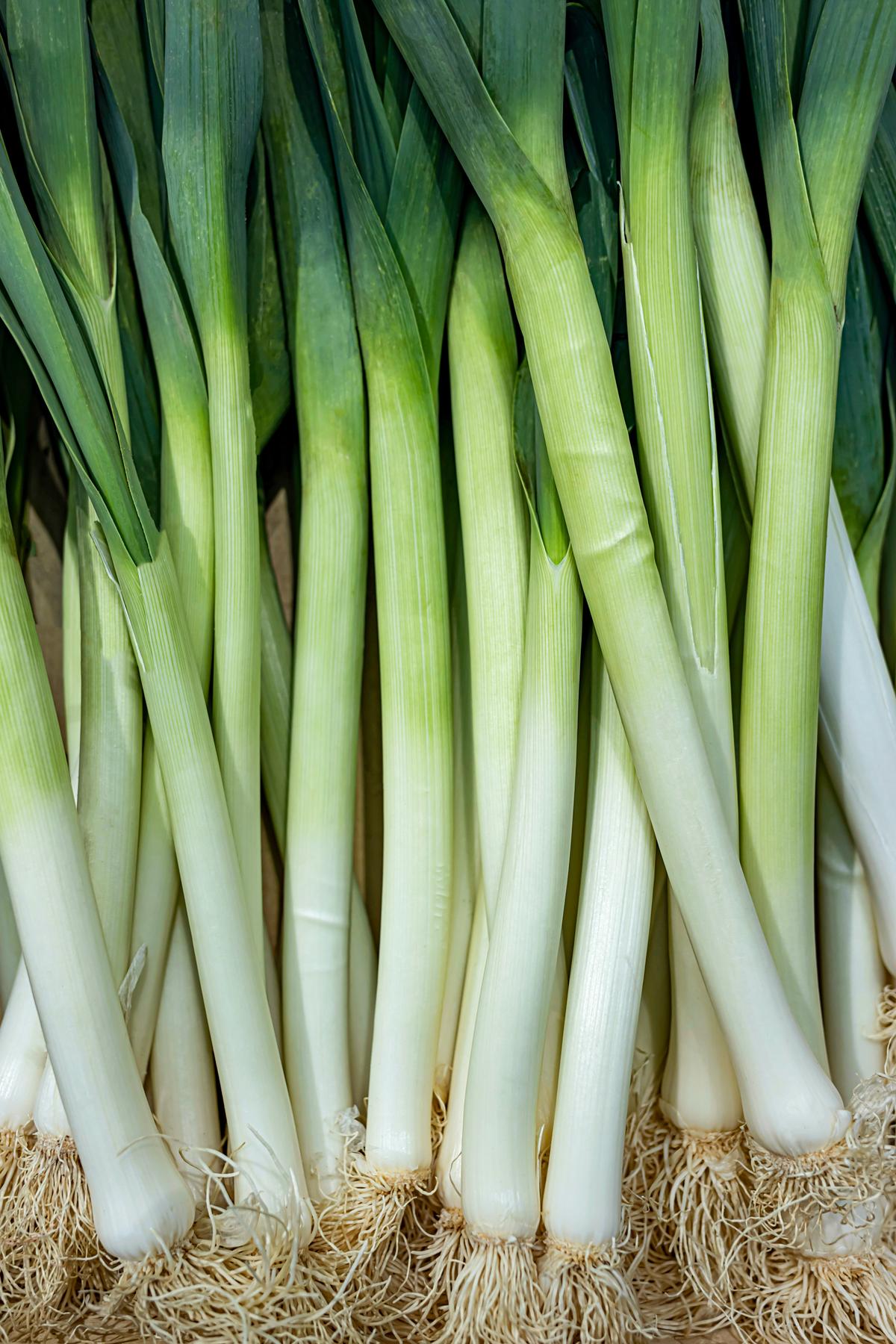 Growing leeks—check out these tips! | Kotona Living