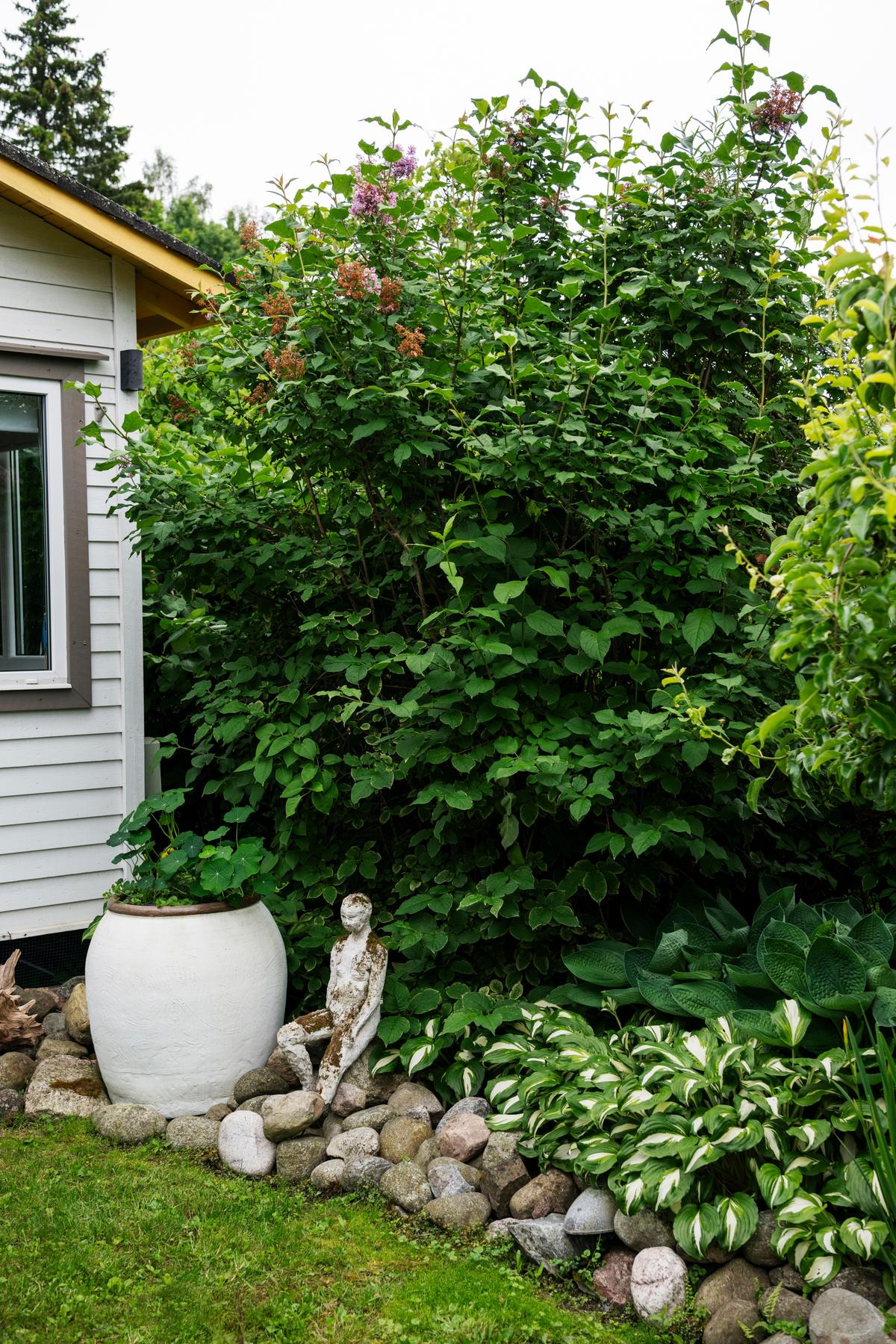 Finnish Eurovision commentator Mikko Silvennoinen’s cabin | Kotona Living