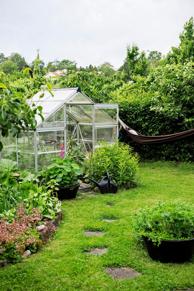 Finnish Eurovision commentator Mikko Silvennoinen’s cabin | Kotona Living