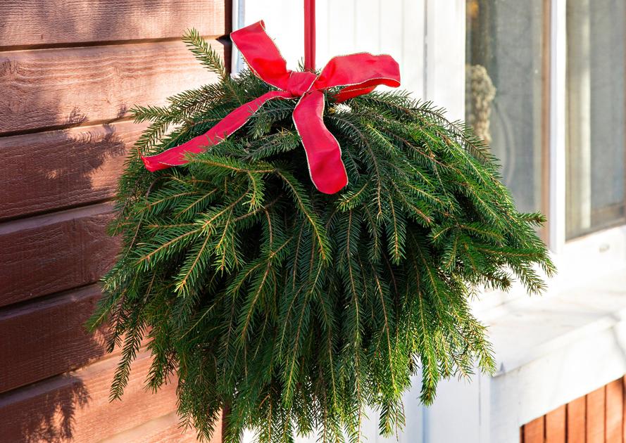 How to make a kissing ball from conifer | Kotona Living